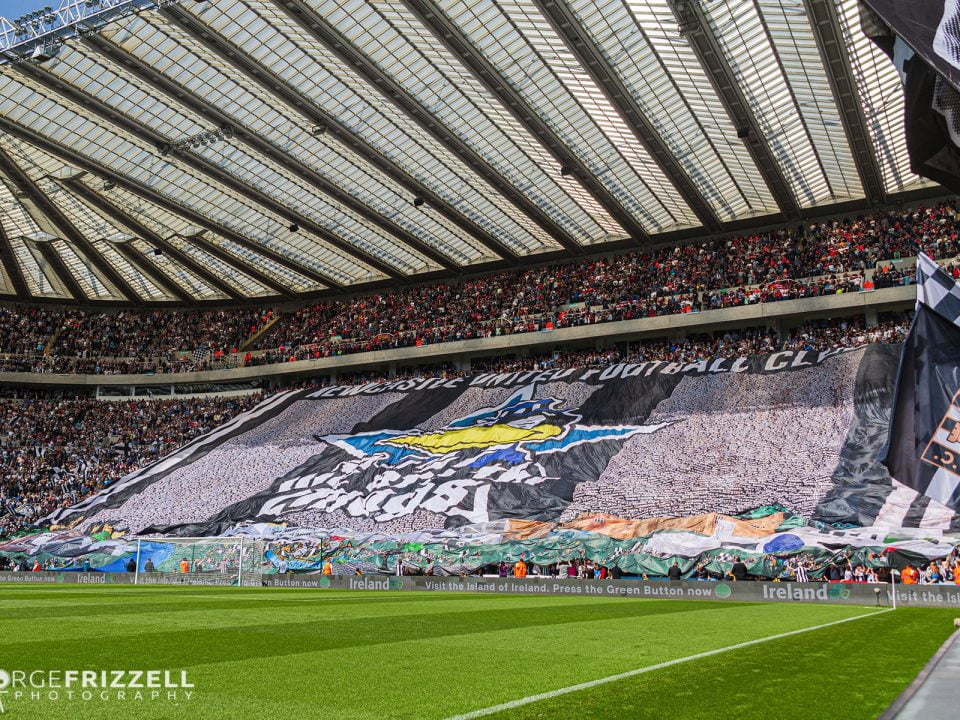 Displays – Page 2 – Wor Flags